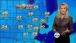 Hally Vogel - WXYZ 7 Detroit - Page 2 - TvNewsCaps